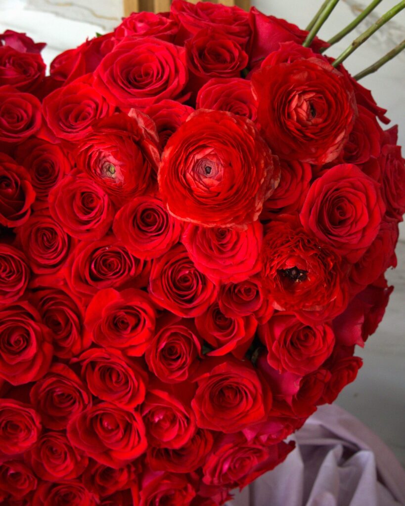 CORAZÓN - Elixir Flores