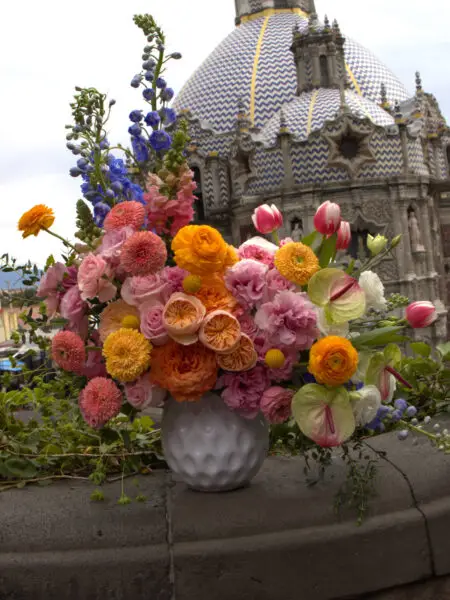 Arreglo de Rosas inglesas, Tulipanes y Lisianthus - Elixir Flores
