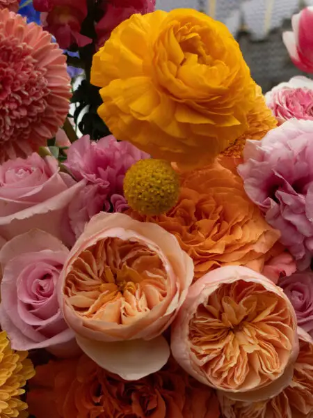 Arreglo de Rosas inglesas, Tulipanes y Lisianthus - Elixir Flores