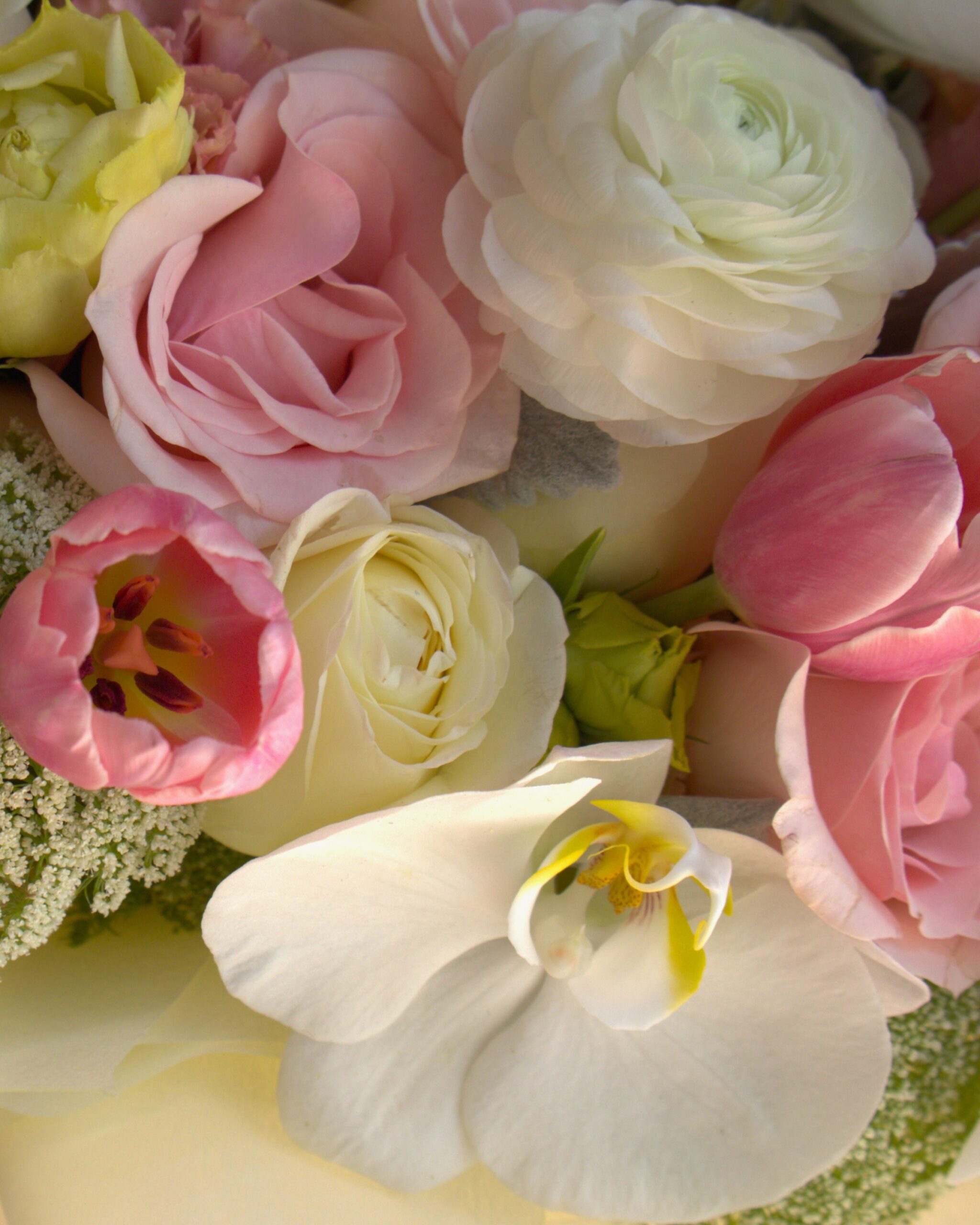 BRISA - Elixir Flores