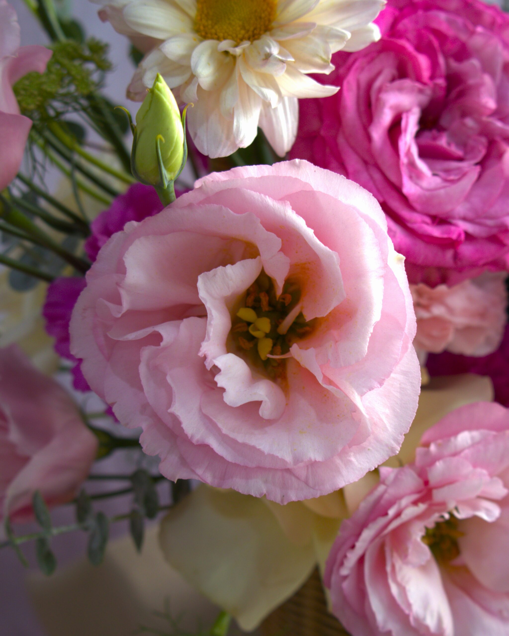 FLOR DE MI VIDA - Elixir Flores