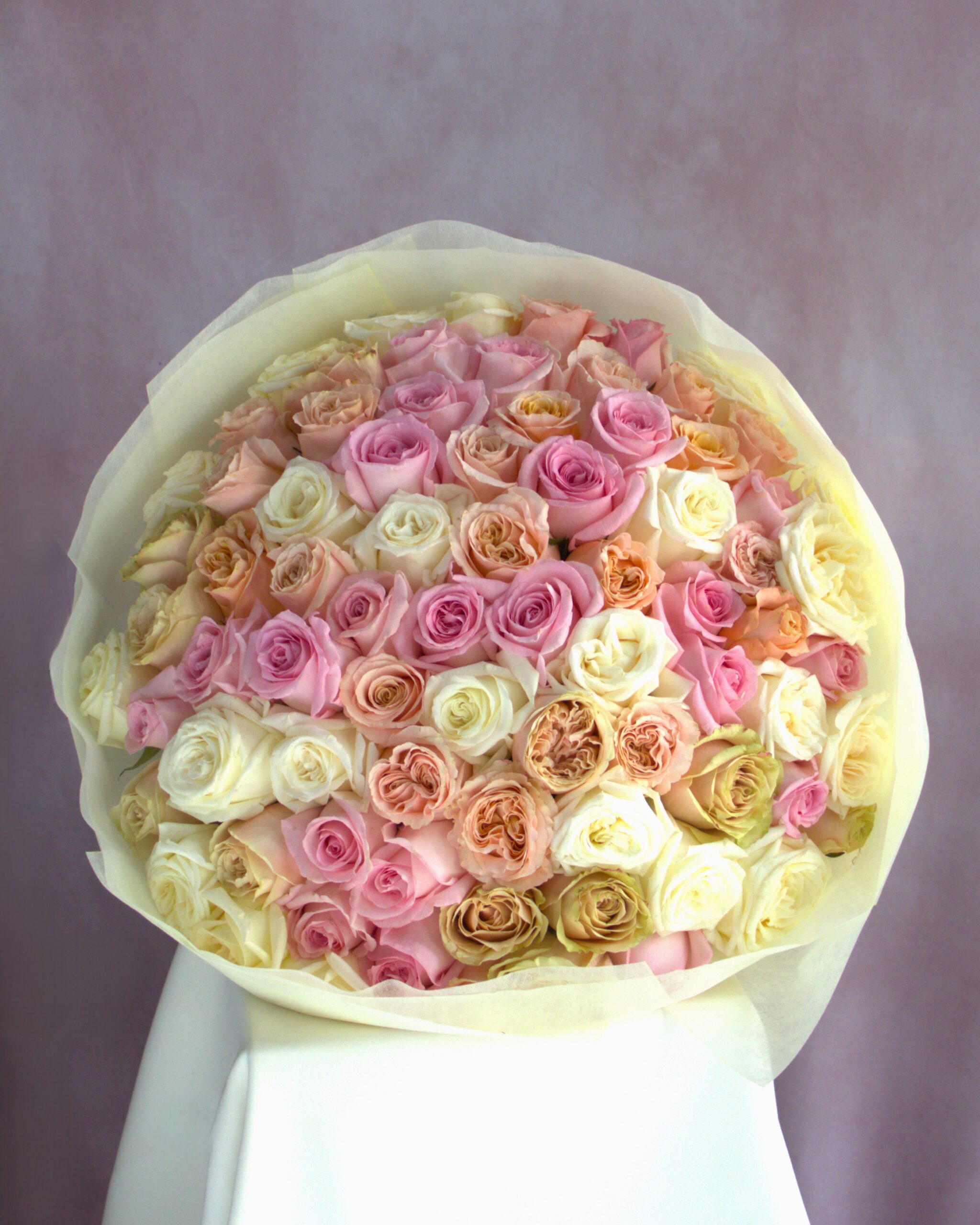 75 ROSAS - Elixir Flores