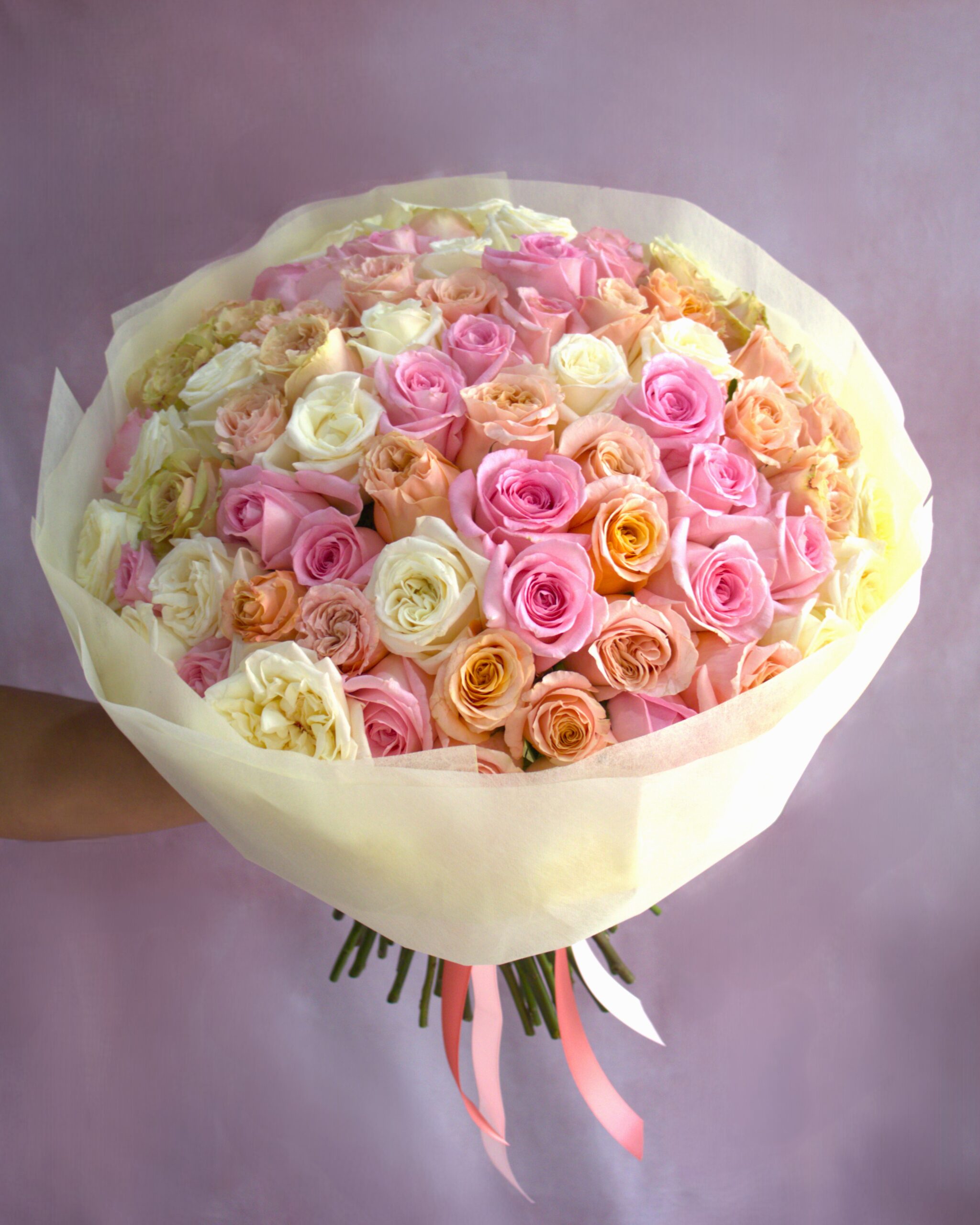 75 ROSAS - Elixir Flores