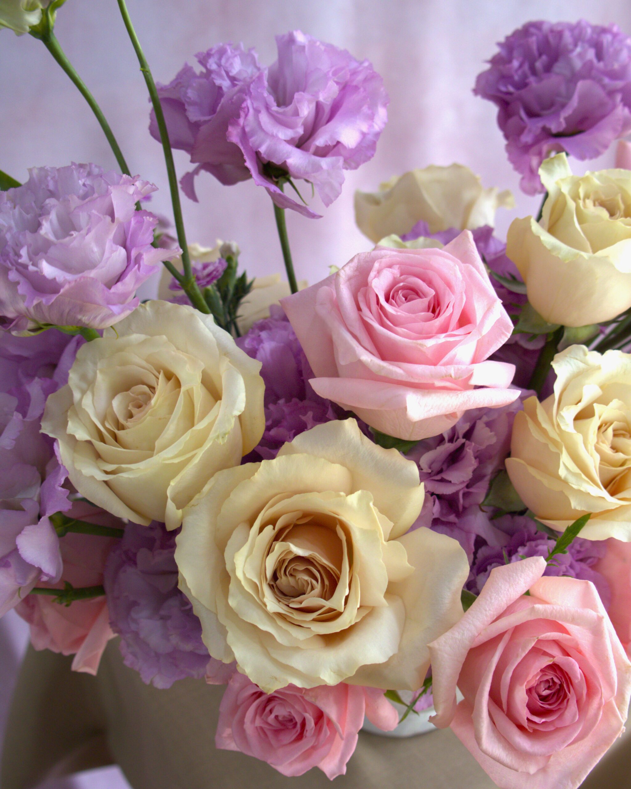 CREATIVO - Elixir Flores