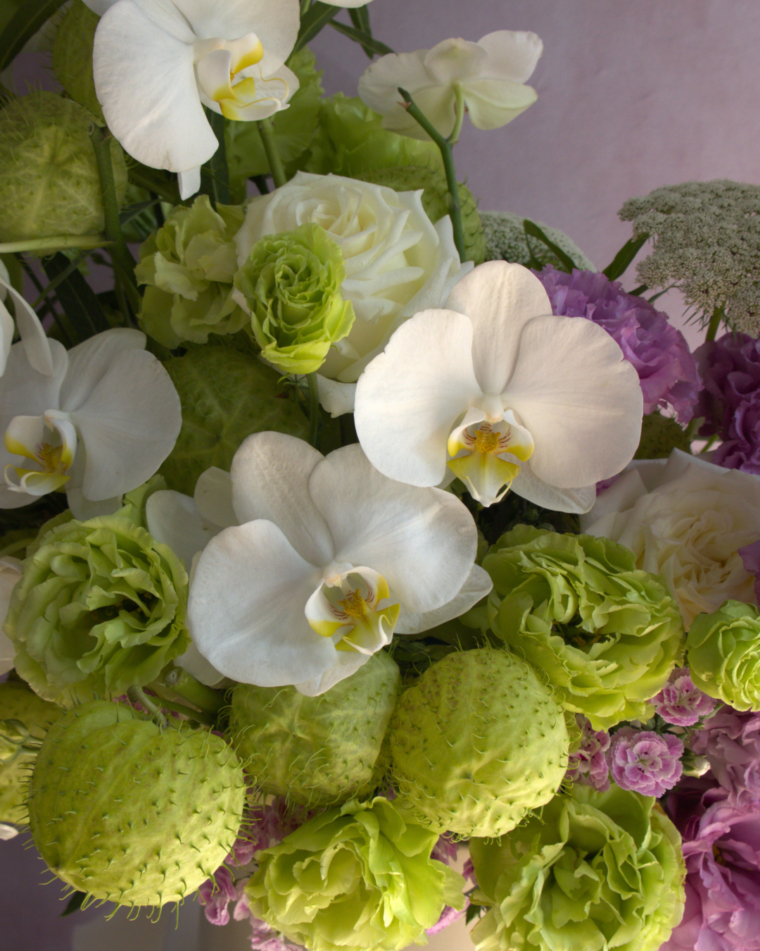 FRAGANCIA - Elixir Flores