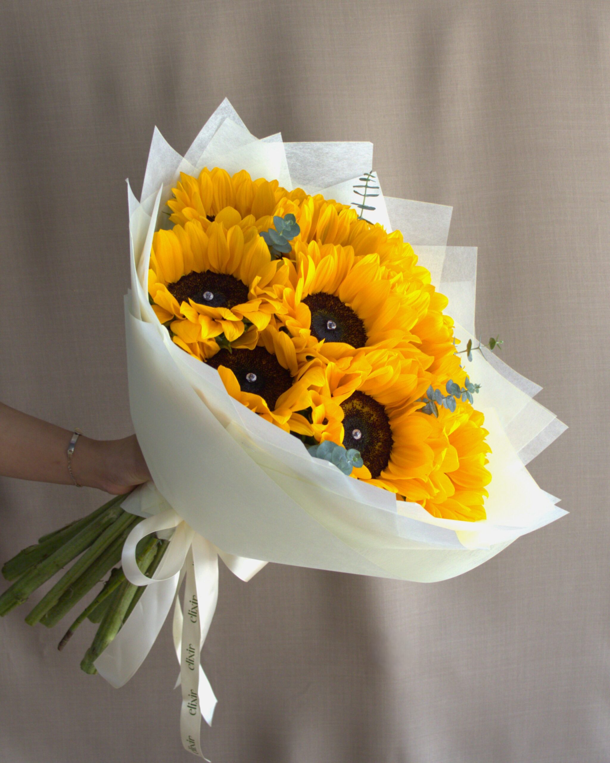 Ramos - Elixir Flores