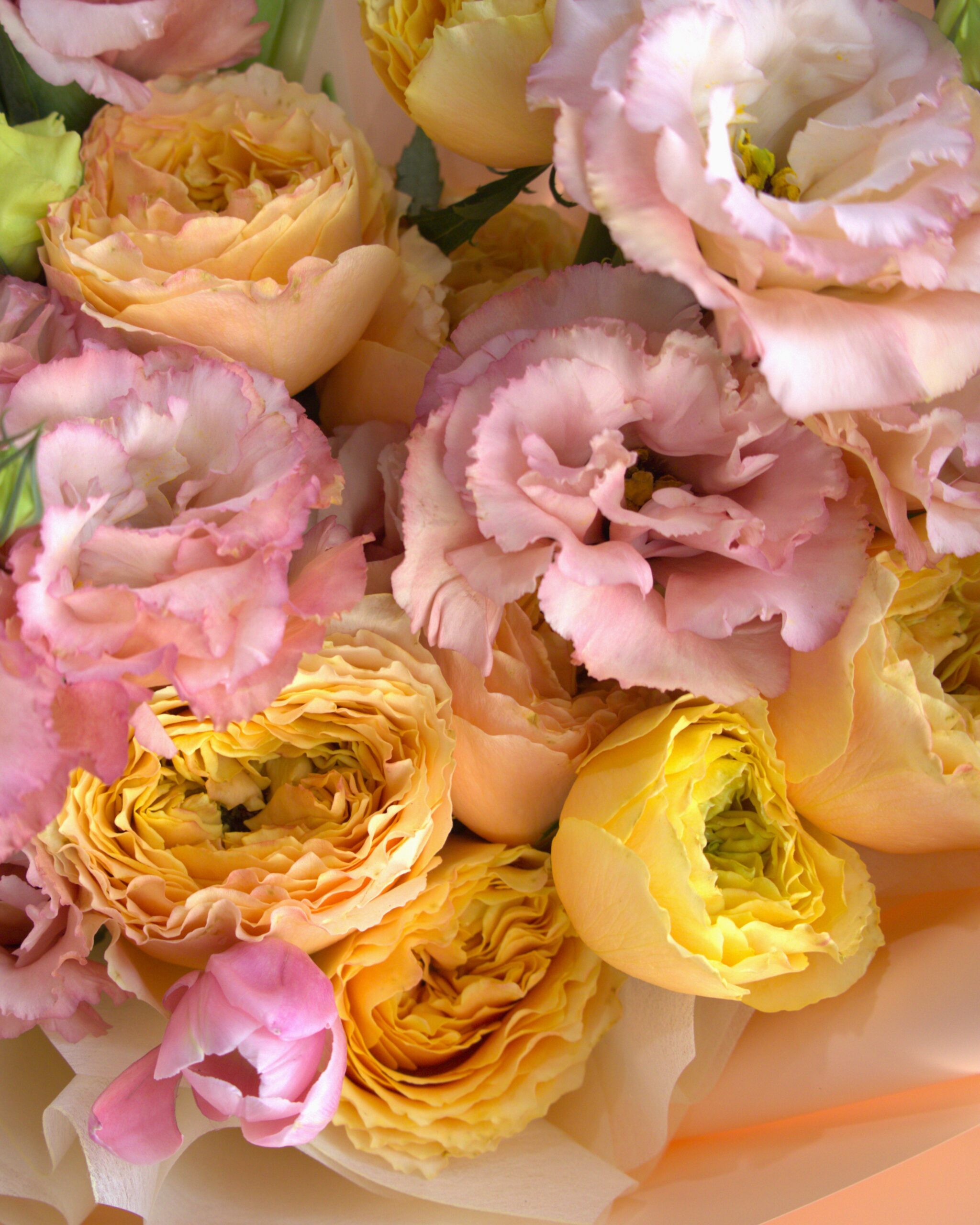 INGLESA - Elixir Flores