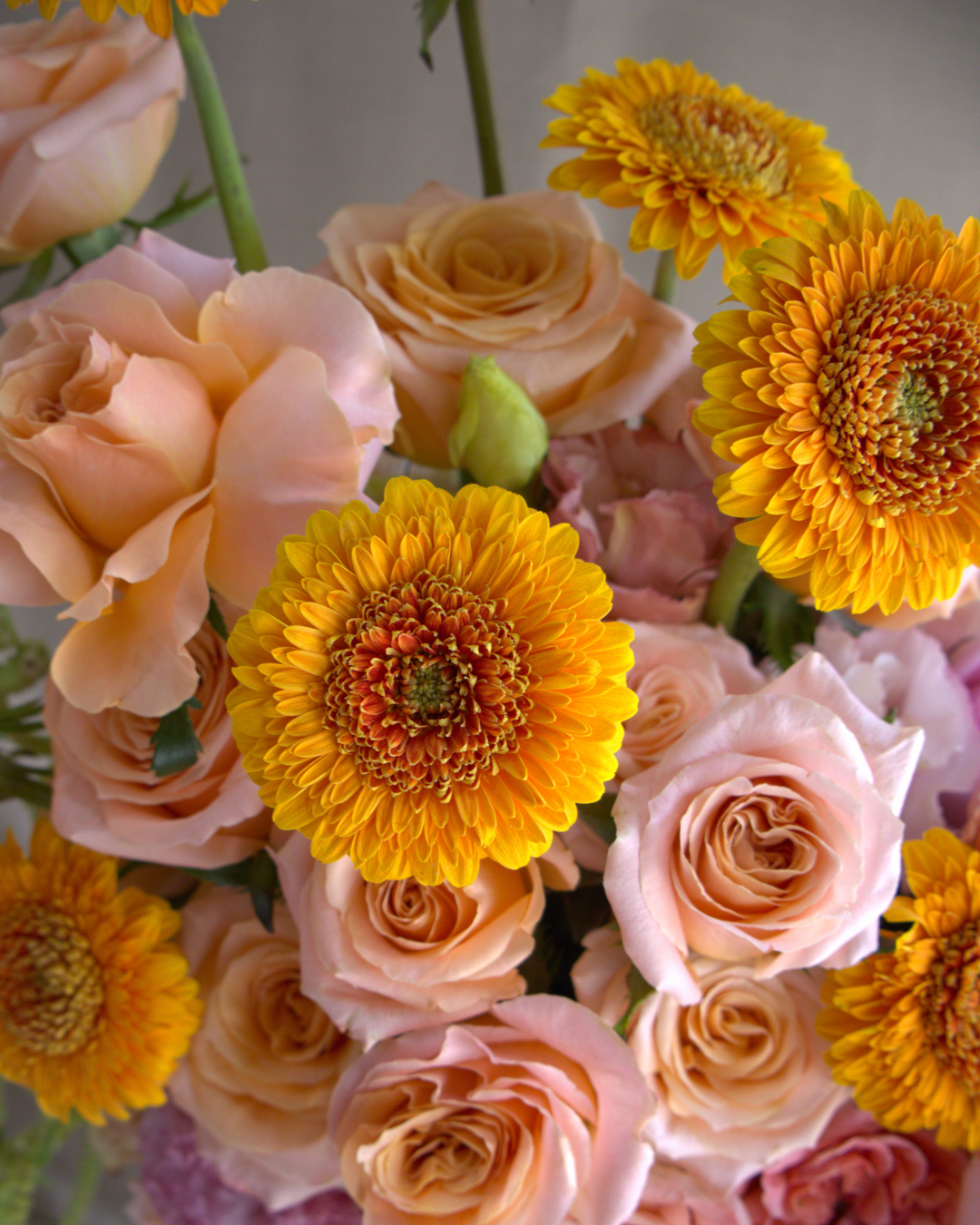 SHIMER - Elixir Flores