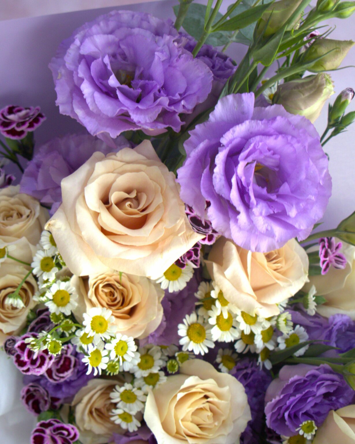 FLORES DE ENSUEÑO - Elixir Flores