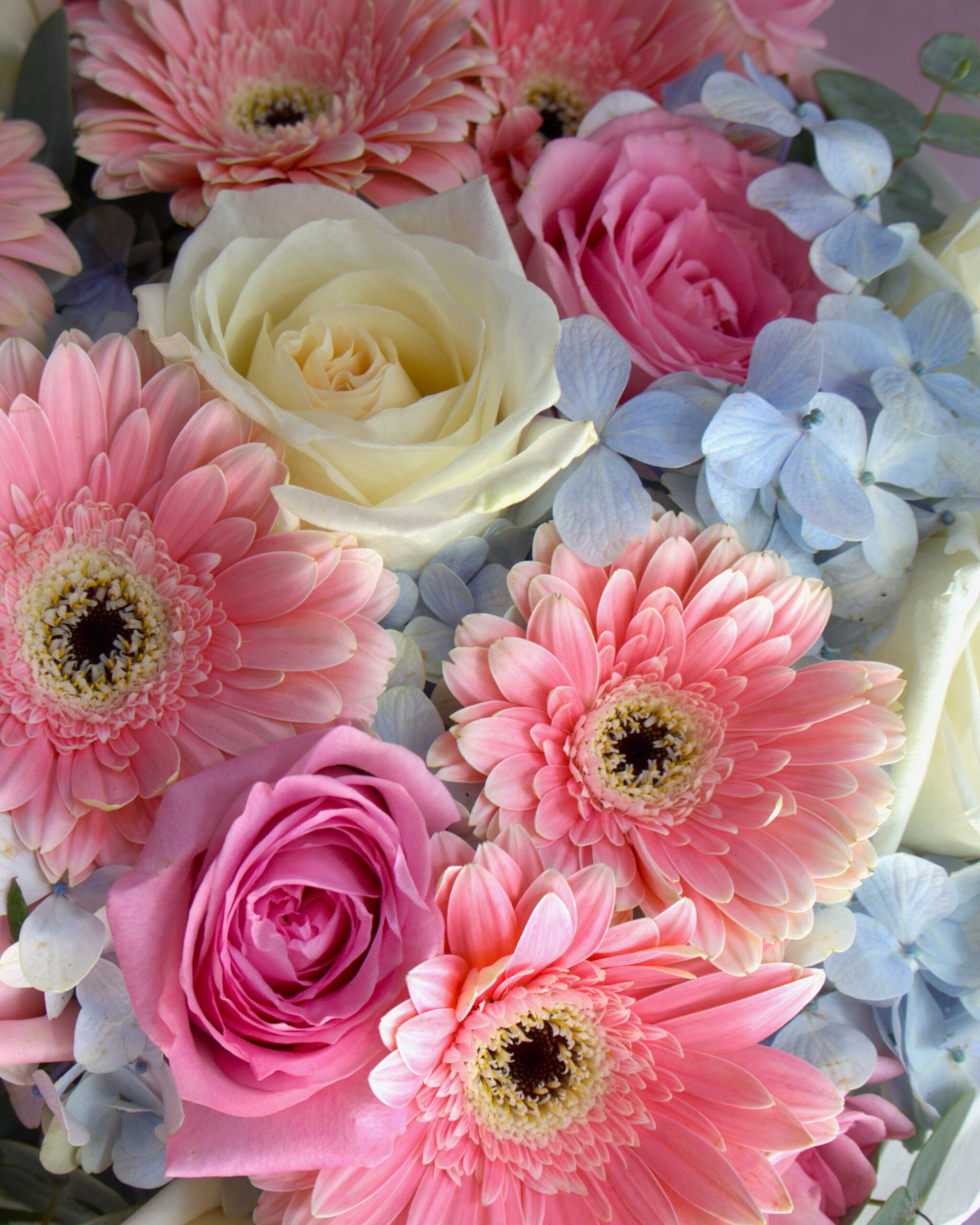 CIELO - Elixir Flores